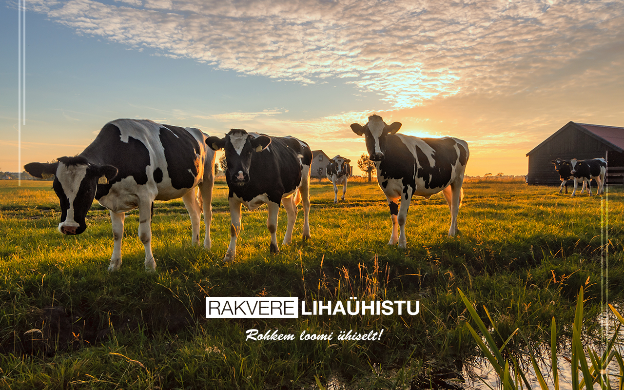 Taustapildid - Rakvere Lihaühistu